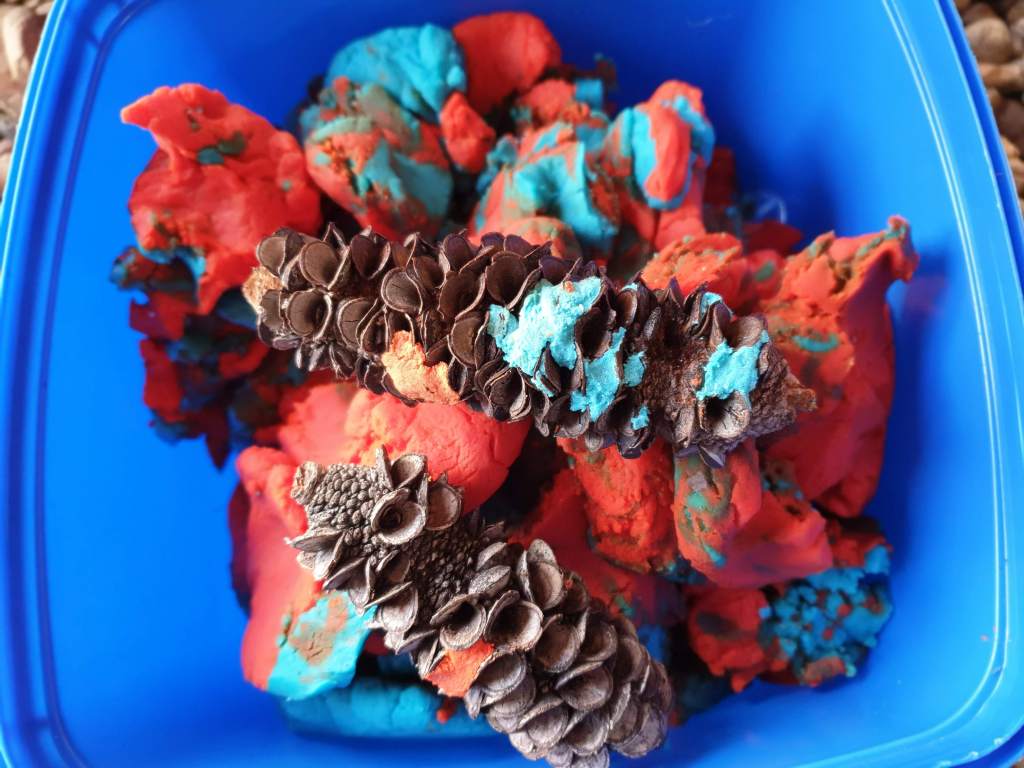 Bush Knowing Forest School - Bush Knowing Forest School