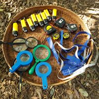 Bush Knowing Forest School – Nature Immersion Sessions