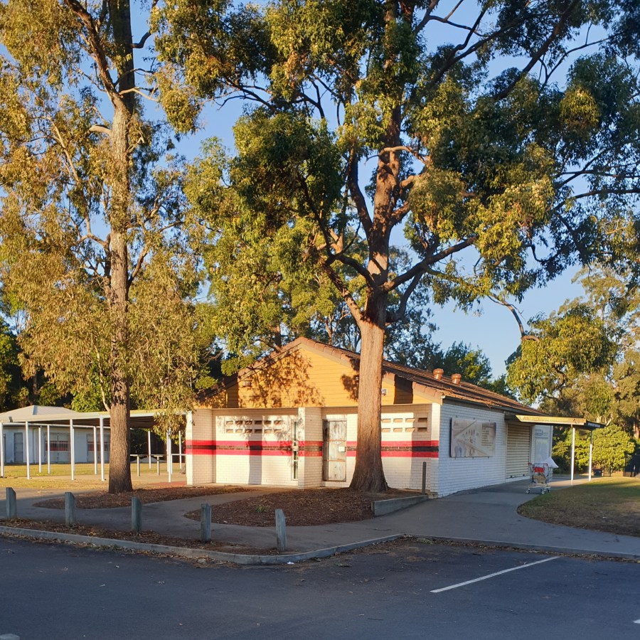 Bush Playgroup – Bush Knowing Forest School