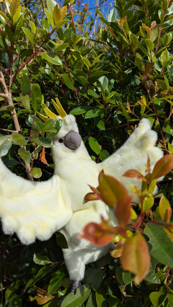 HANSA Cockatoo puppet - Bush Knowing Forest School