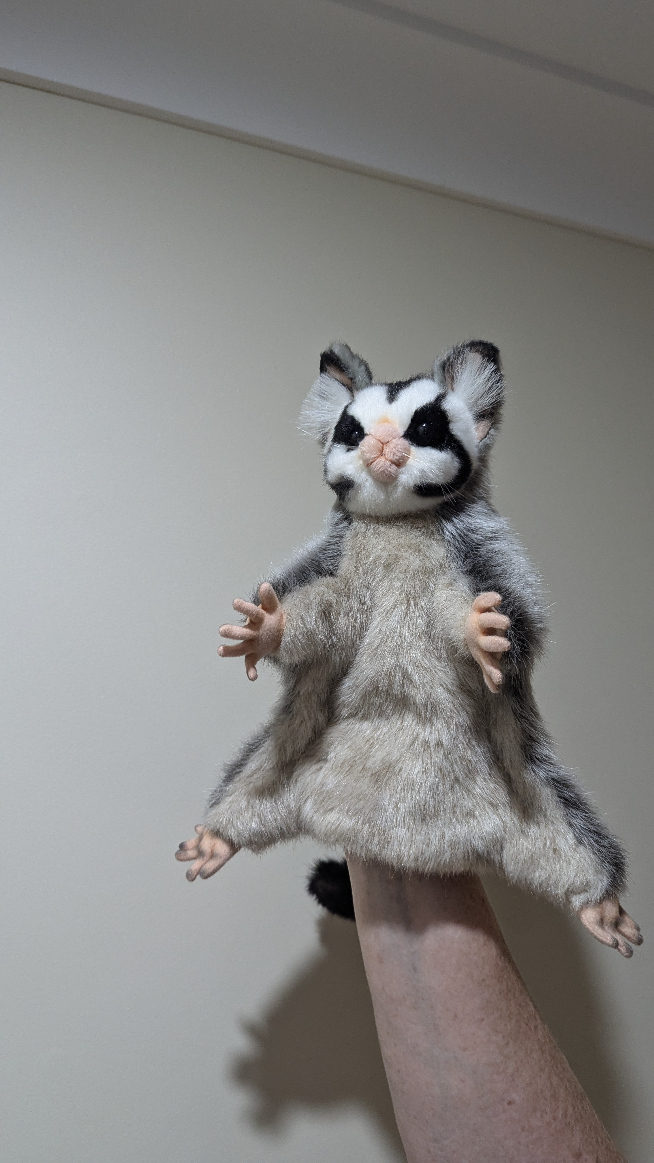 HANSA Sugar Glider puppet - Bush Knowing Forest School