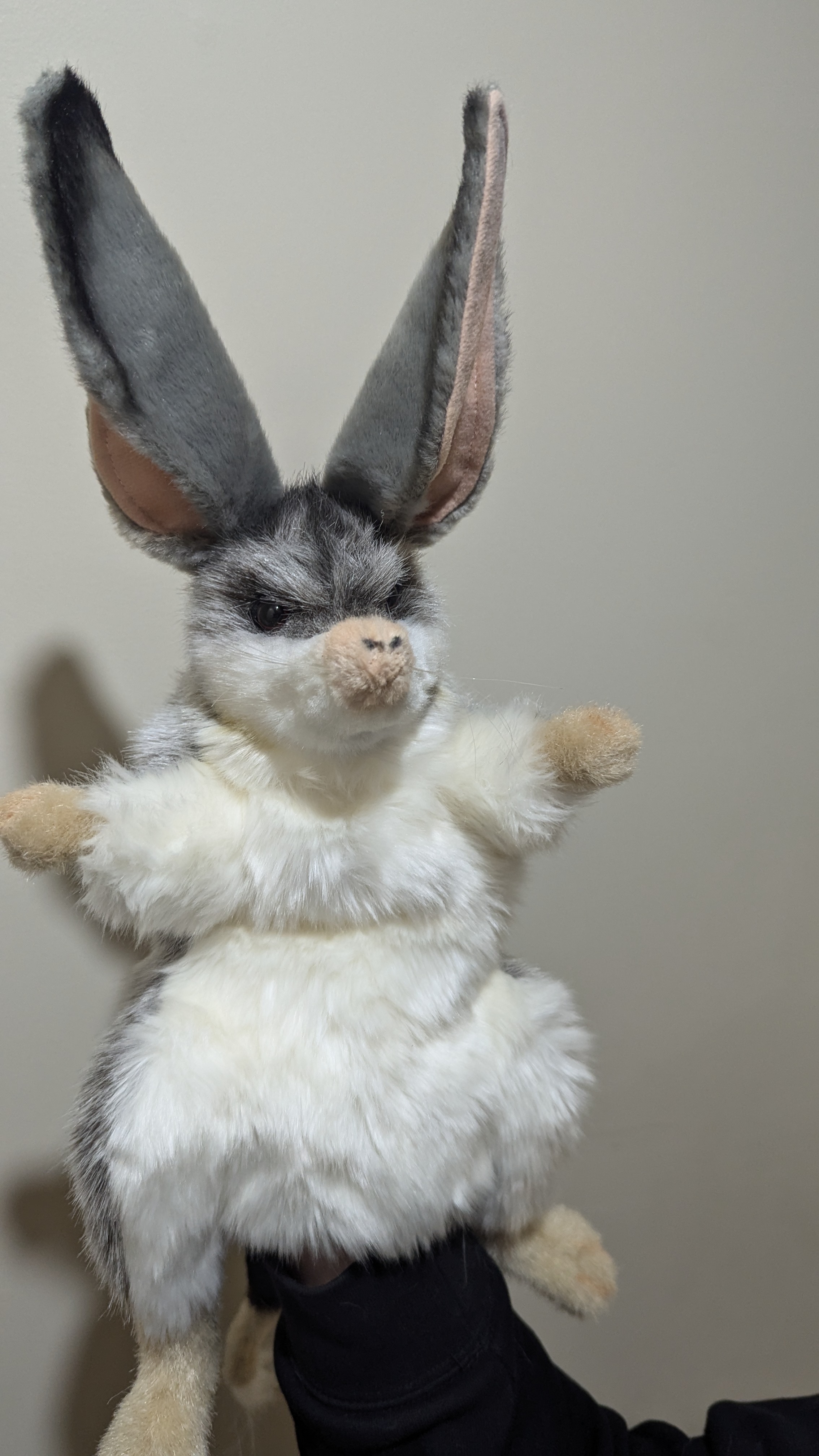 HANSA Bilby puppet - Bush Knowing Forest School